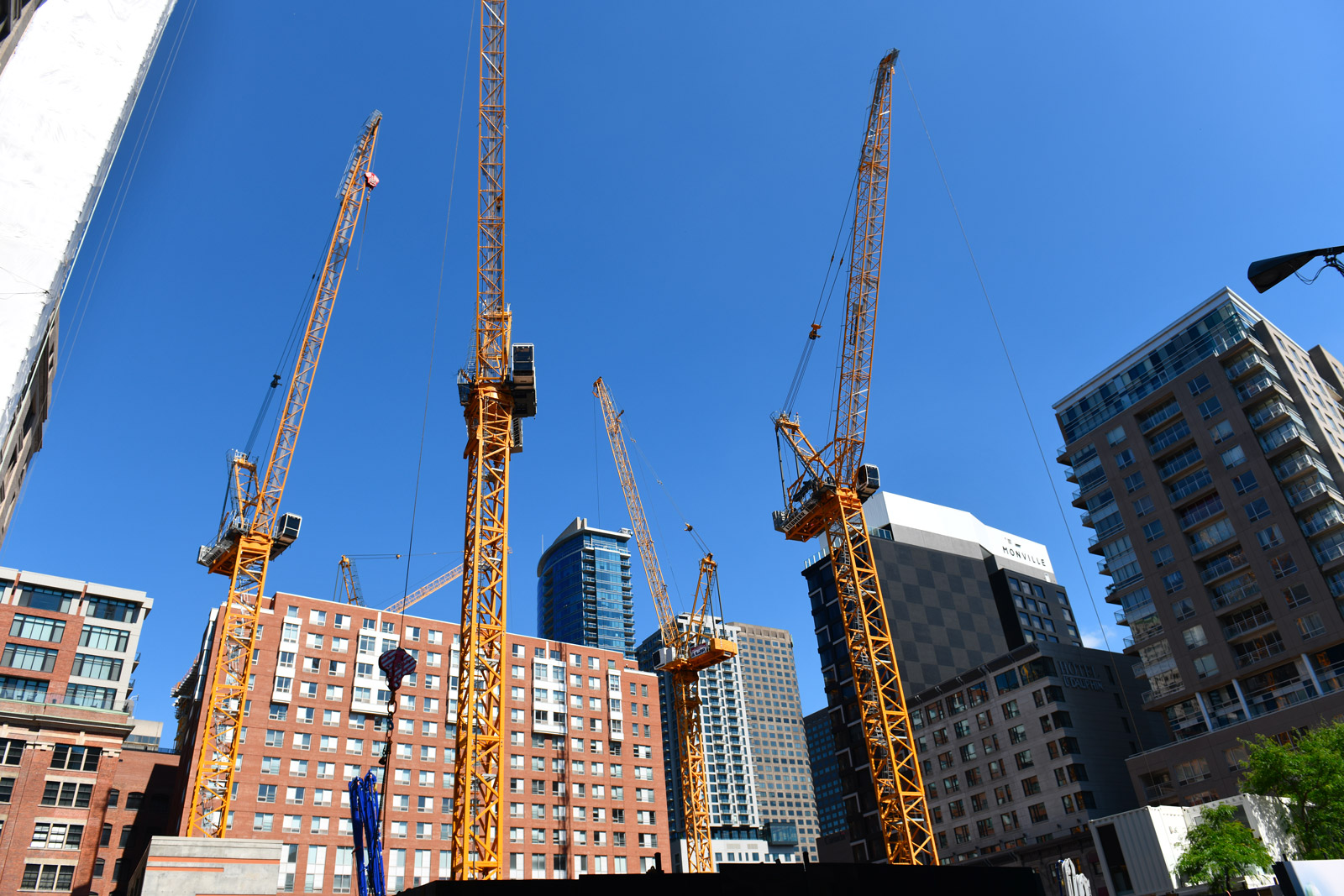 Grues | Les Constructions LJP